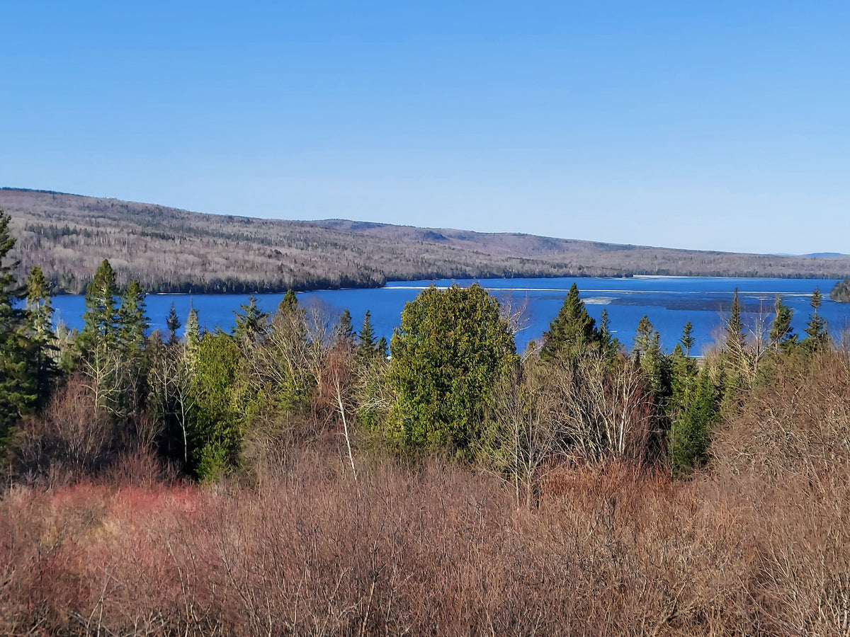 Rangeley Region Fishing Report - April 28 2025 — Rangeley Region Sports ...