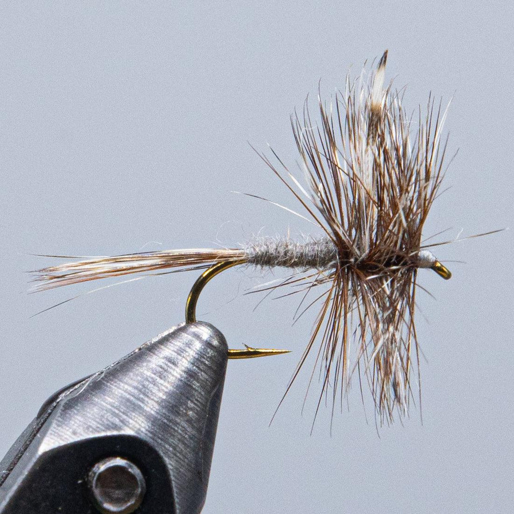 Dry Flies - Rangeley Region Sports Shop